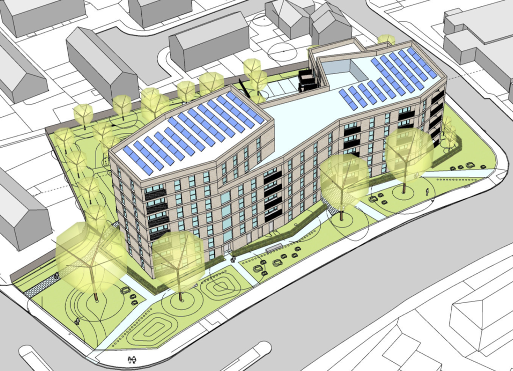 Roxwell and Oxlow Regeneration - tga